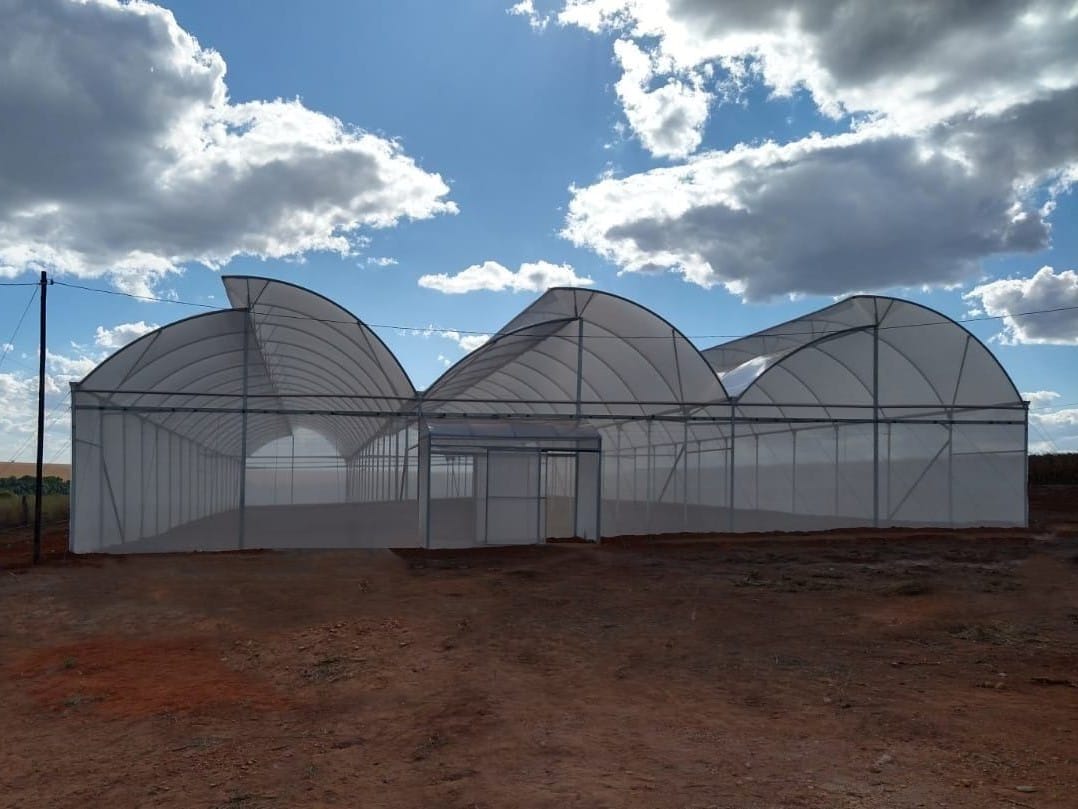 Invernadero Cenital | Tropical Invernaderos