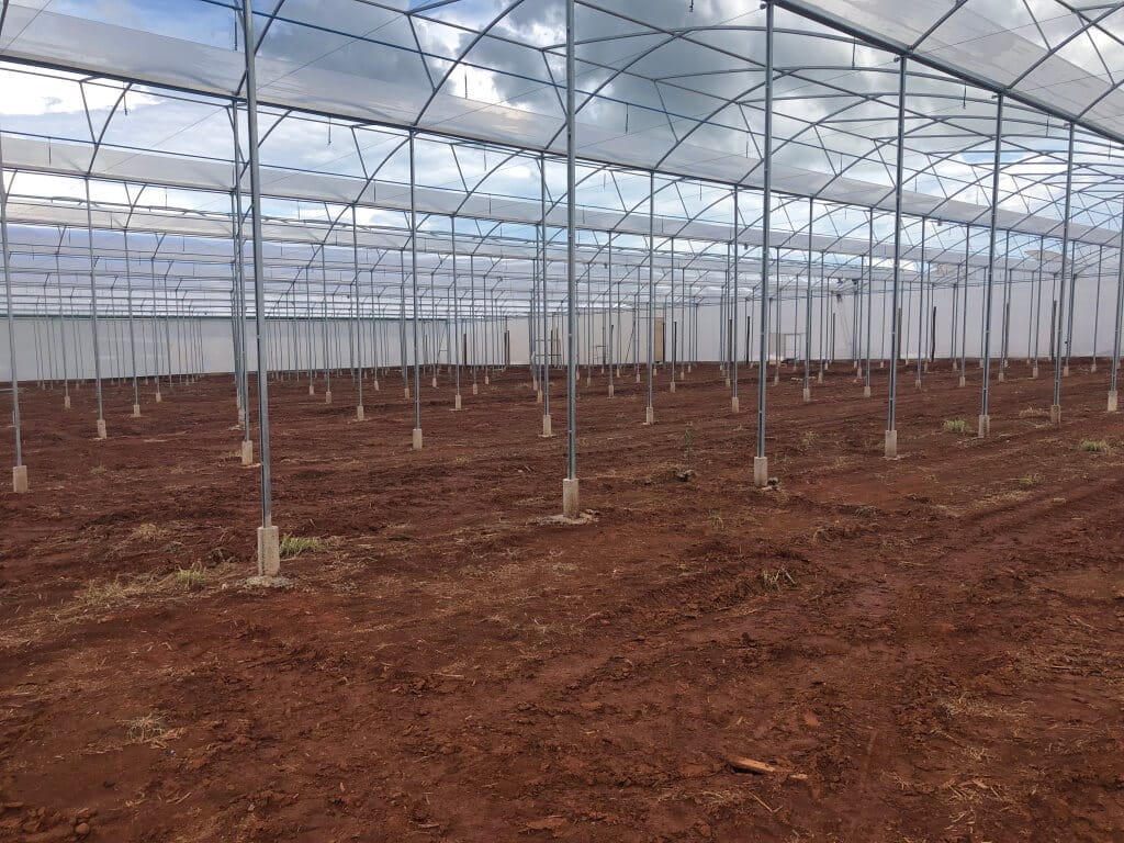 Invernadero Modelo Sierra | Tropical Invernaderos