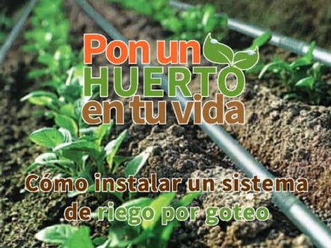 Cómo instalar un sistema de riego por goteo | Tropical Invernaderos